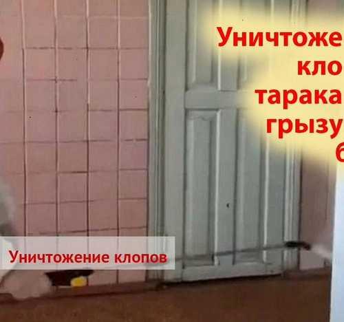 Уничтожение клопов тараканов грызунов блох