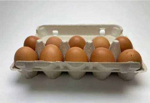 Тара, коробки для яиц 50 шт