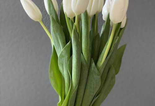 Тюльпаны оптом белые