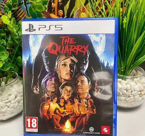 The Quarry PS5 Б/у