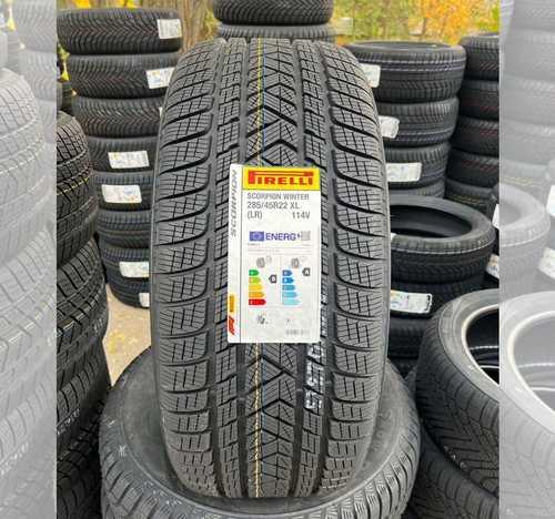 Pirelli Scorpion Winter 285/45 R22 114V