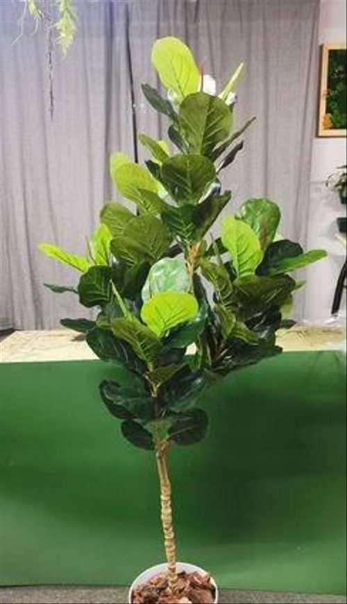 Растения искусственные дерево фикус Лирата