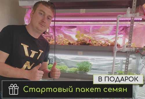 Стеллаж для гидропоники