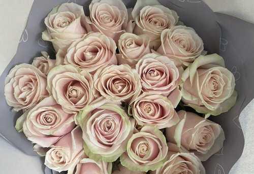 Нежно розовая роза Голландия 70см. 15 роз
