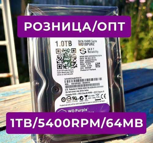 Жесткий диск WD 1TB для видеонаблюдения Purple в упаковке