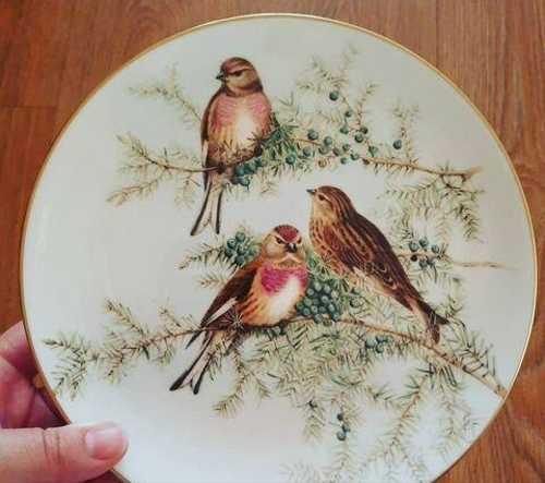 Винтажная тарелка с птицами. Англия