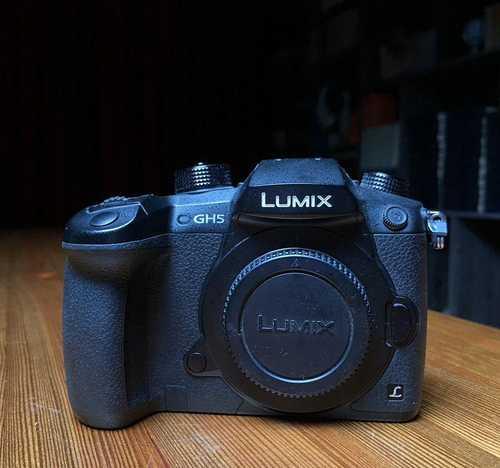 Panasonic lumix gh5