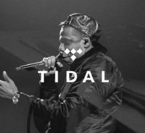 Подписка Tidal HiFi Plus (навсегда)