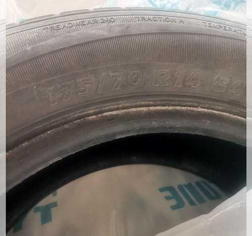 Tigar Sigura 175/70 R14