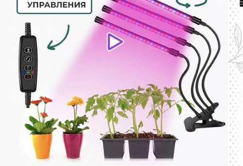 Фитолампа для растений
