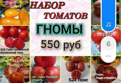 Рассада и семена томатов