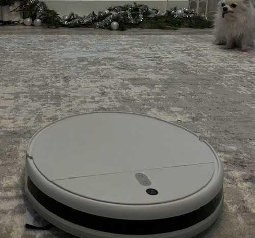 Xiaomi Mi Robot Vacuum-Mop 2 Lite