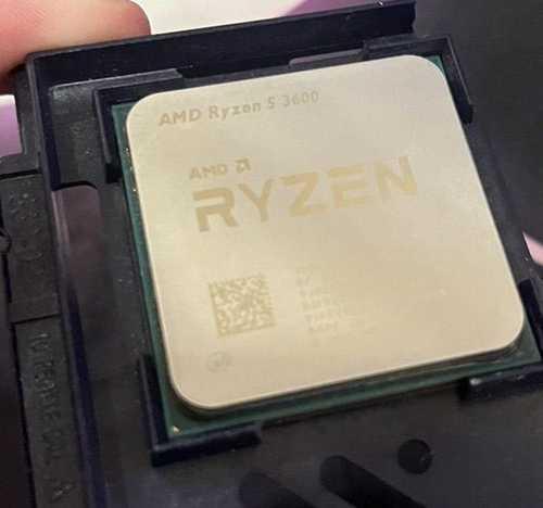 Amd ryzen 5 3600