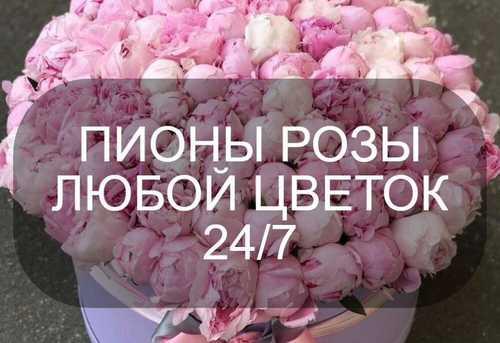 Пионы цветы с доставкой от производителя 24 7