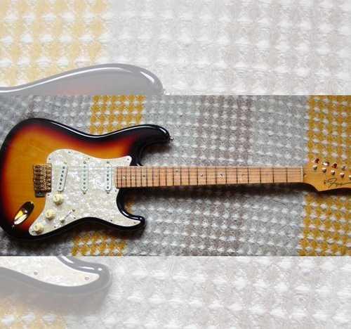 Электрогитара Fujigen (FGN) Custom House (Japan)