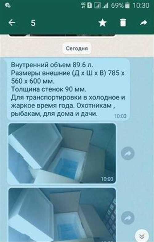 Термоконтейнер медицинский из пенопласта