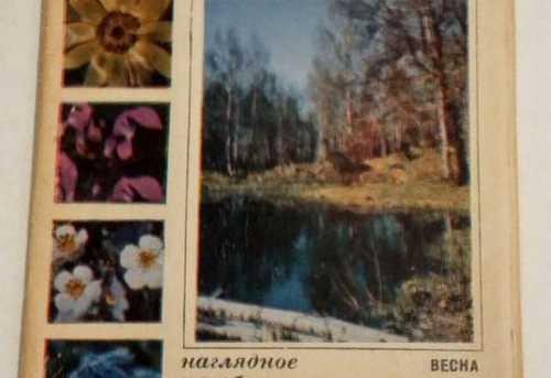 Ботаника 5-6 класс: набор открыток (СССР, 1972 г.)