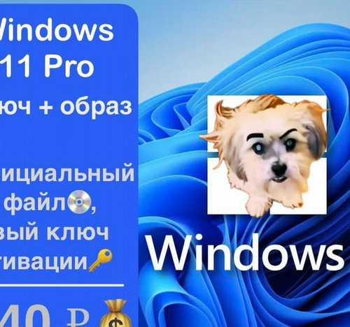 Ключ Windows 11 Pro