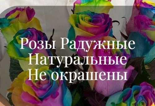 Цветные Розы Москва мо