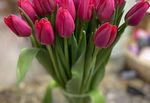 Тюльпаны к 8 марта оптом и в розницу с доставкой