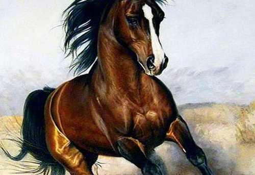 Алмазная мозаика 40x50 Красивый конь