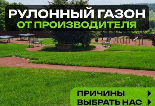 Рулонный газон Спорт. От производителя