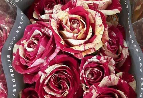 Букет свежих Роз на праздник