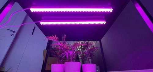 Светильники для растений LVL
