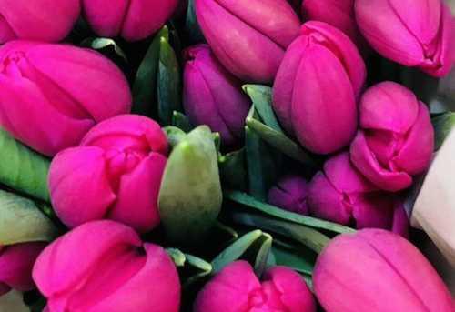 Тюльпаны к 8 марта с доставкой цветы букеты