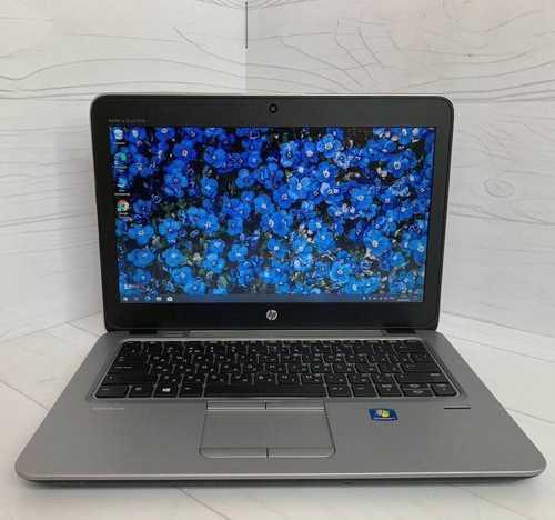 12 дюймов AMD A8 Ноутбук HP EliteBook 725