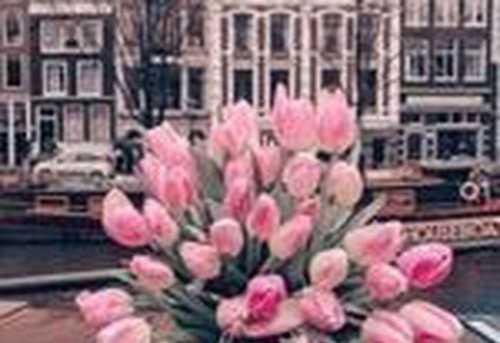 Картина по номерам Амстердам 40*50 см