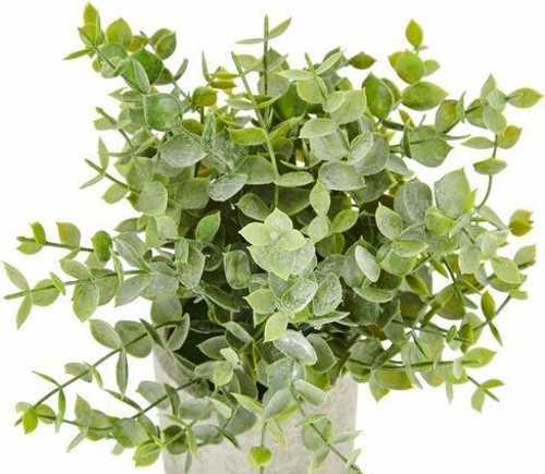 Искусственное растение Орегано серебро h20 см
