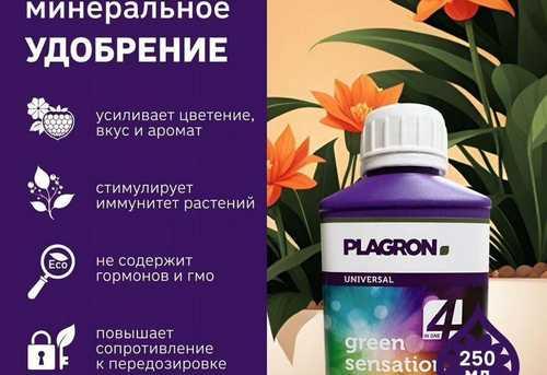 Plagron Green Sensation 250 мл