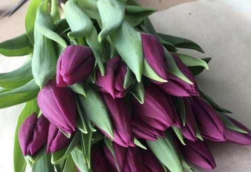 Тюльпаны к 8 марта опт и розница