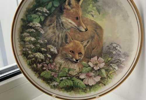 Тарелка с лисичками