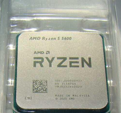 Новый AMD Ryzen 5 5600