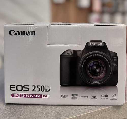 Canon EOS 250D EF-S 18-55 IS STM KIT