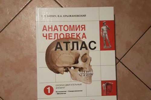 Атлас анатомия билич крыжановский. Билич Крыжановский анатомия 1 том. Атлас Билич Крыжановский том 1. Атлас анатомия Билич Крыжановский 1 том. Билич анатомия человека атлас купить.