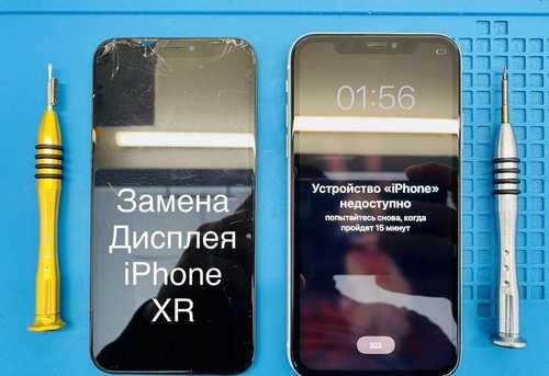 iPhone Xr (in-cell) дисплей с заменой