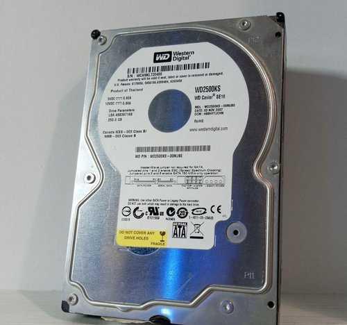 Жесткий диск Western Digital WD 250 гб