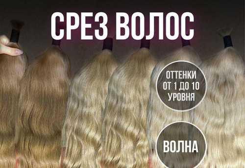 Волосы в срезе