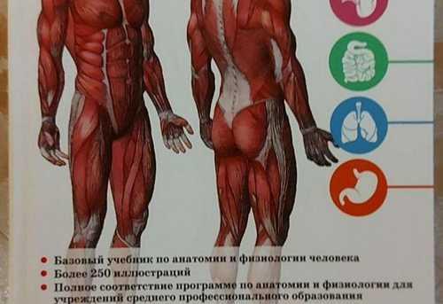 Анатомия учебник