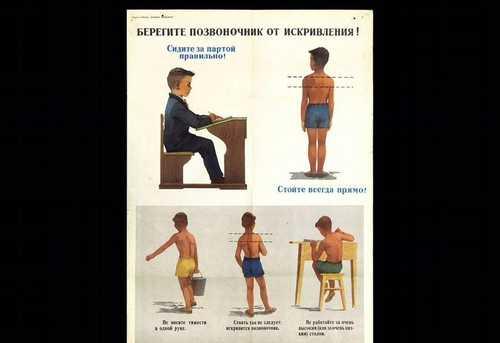 Плакат старинный 1965г позвоночник СССР постер
