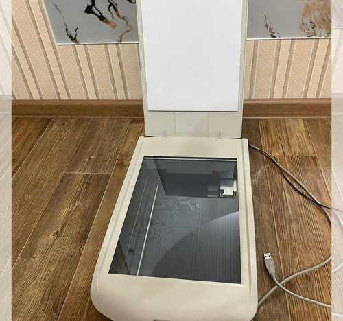 Сканер hp scanjet 2400