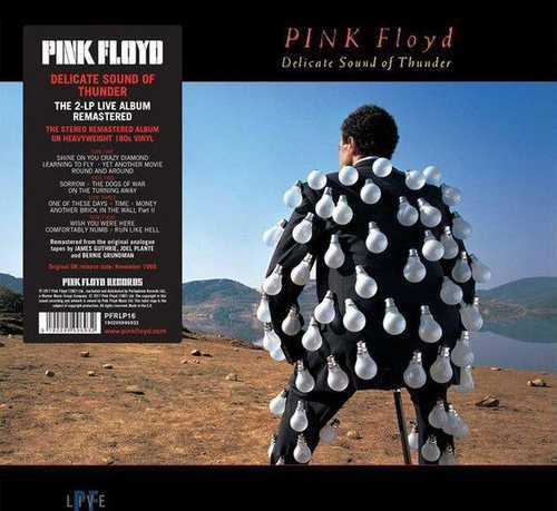 Виниловая пластинка Pink Floyd delicate sound OF t