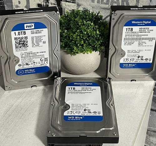 Жёсткий диск HDD WD Blue 1TB 7200RPM