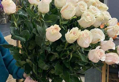 Цветы розы 51 101 201 Нижний Новгород
