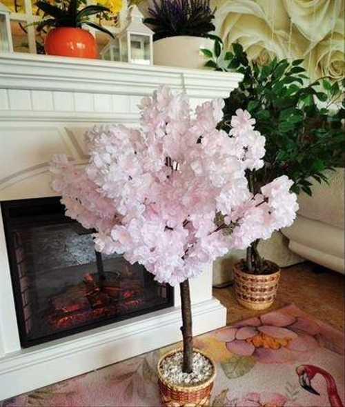 Сакура цветущая дерево розовое растение