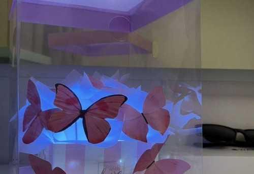 Чудо коробки необычный букет из бабочек