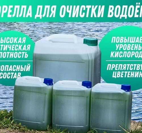 Живая водоросль от производителя